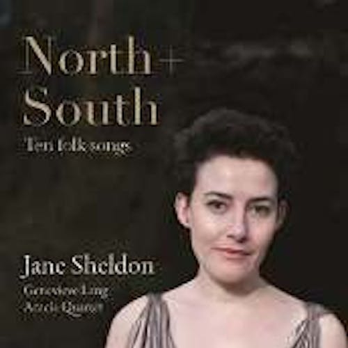 2013 ARIA Awards Winners